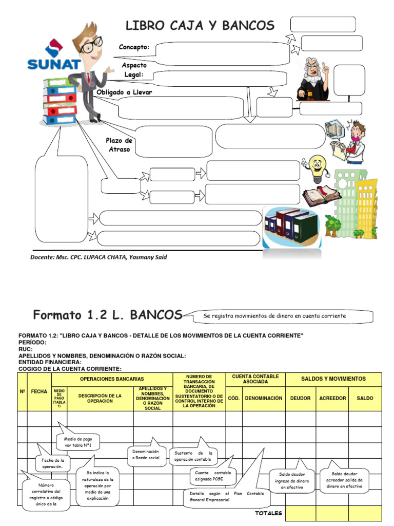 Libro Caja Y Bancos: Concepto: Aspecto Legal: Obligado A Llevar | PDF ...