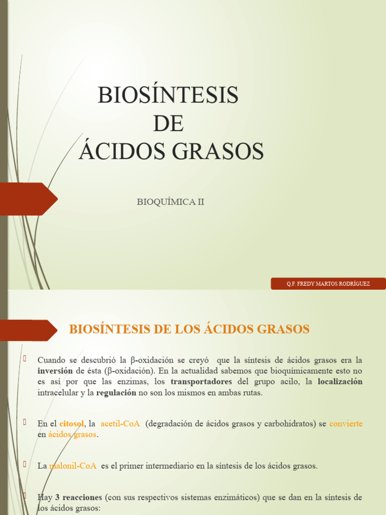 Biosíntesis de Ácidos Grasos y Cetogénesis | Descargar gratis PDF ...
