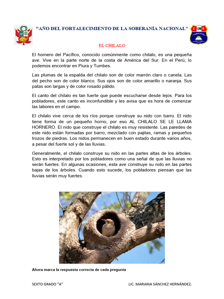 COMUNICACIÓN - LECTURA EL CHILALO | PDF | Ornitología | Aves