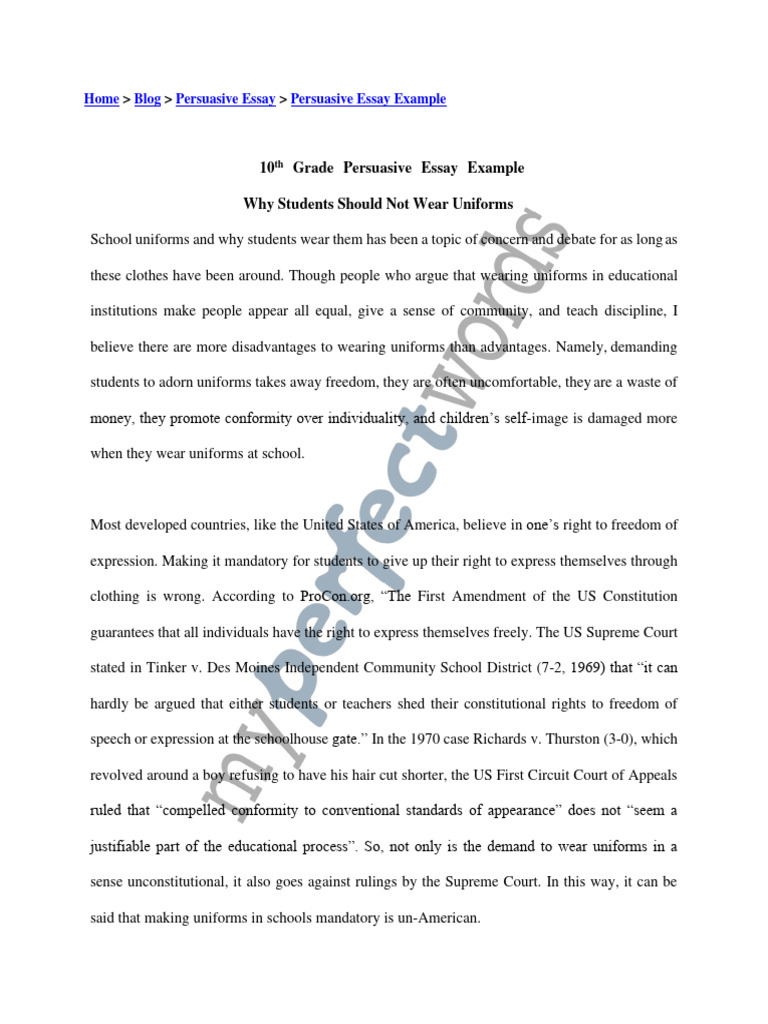 Persuasive Essay Examples Grade 10 PDF | PDF | Clothing | Justice