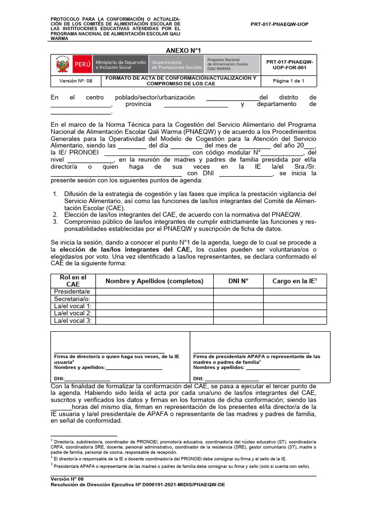 Formatos Anexos RDE 191-2021 ANEXO 1 Y 2 | PDF