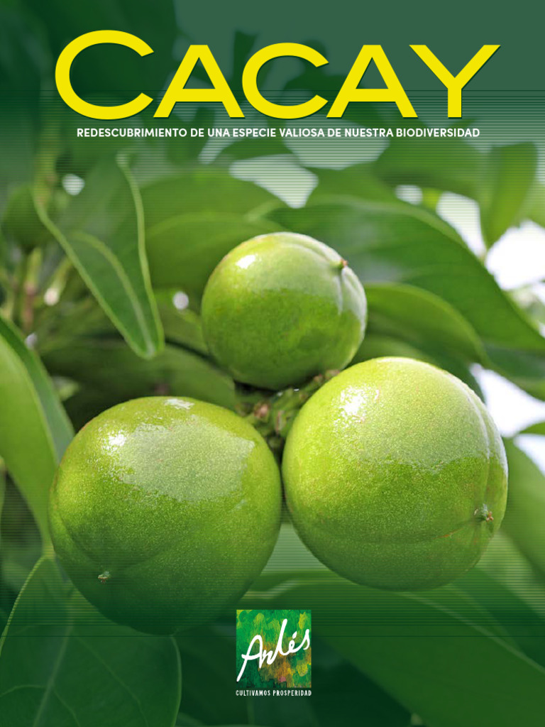 Libro Cacay 2023 PDF | PDF | Agricultura | Sustentabilidad