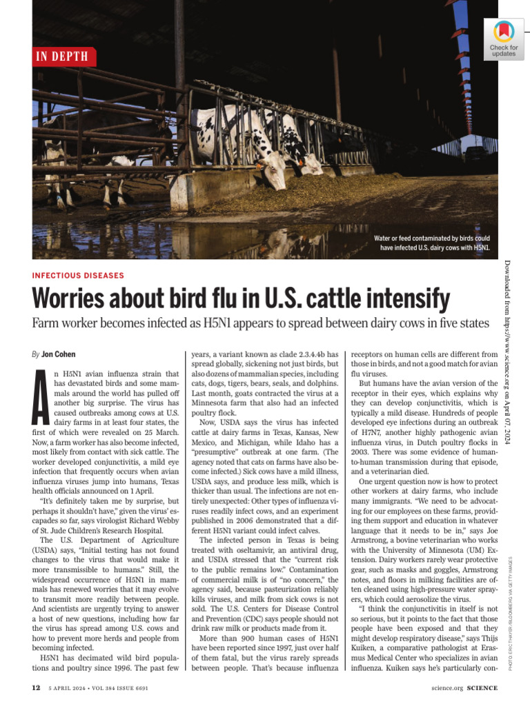 H5N1 Outbreak in U.S. Dairy Cows | PDF | Influenza A Virus Subtype H5 ...