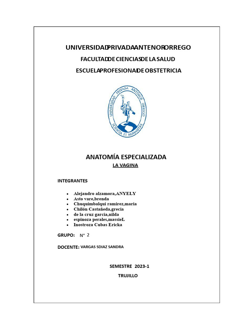 LA VAGINA | PDF | Vagina | Labios