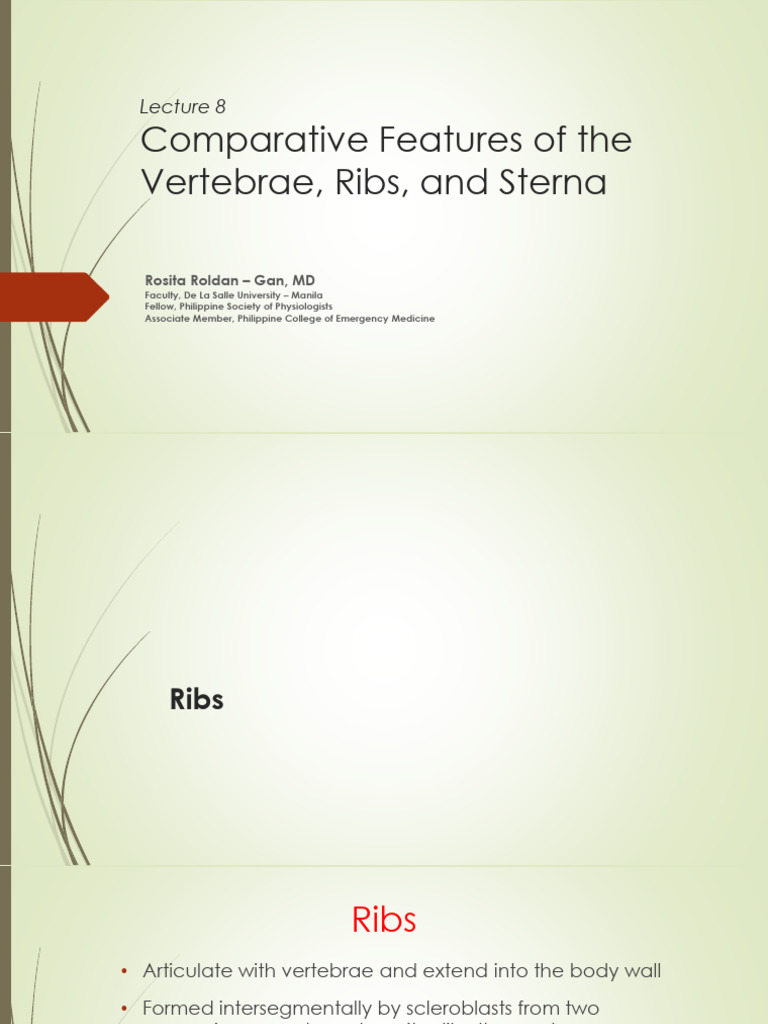 07 Vertebrae, Ribs, and Sterna Part 2 | PDF | Vertebra ...