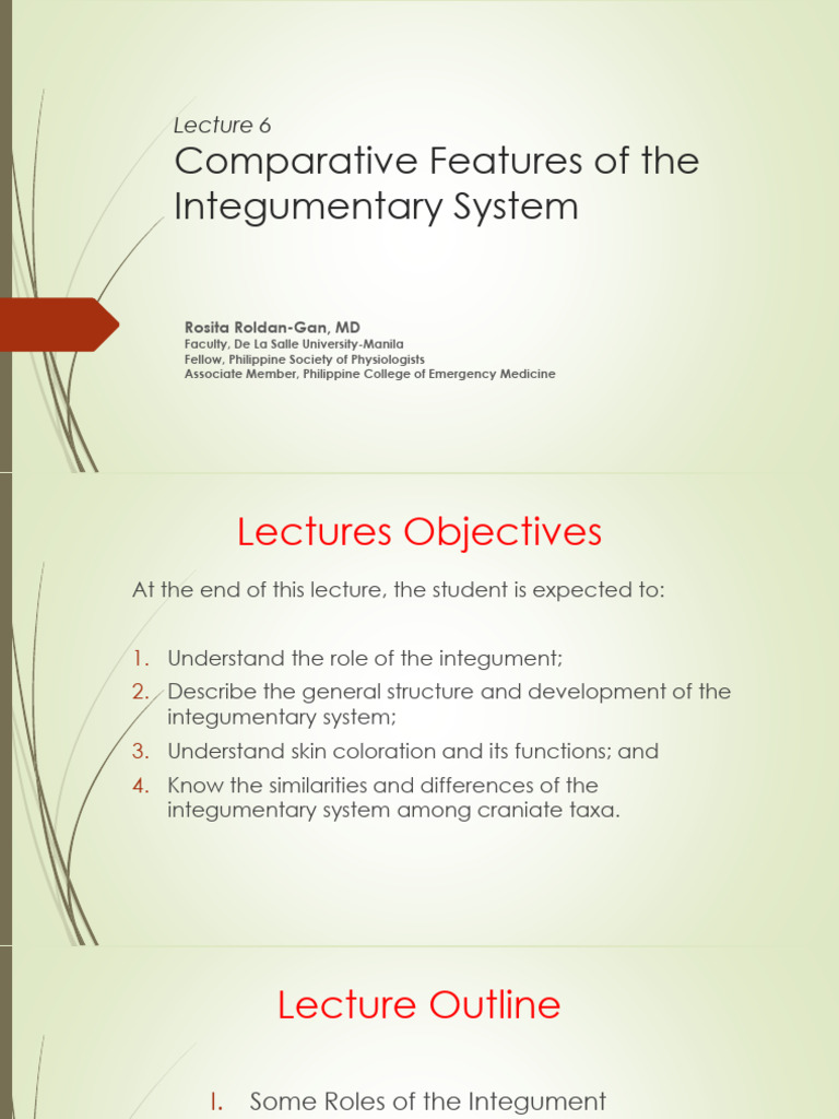 05 Integumentary System Part 1 | PDF | Skin | Epithelium