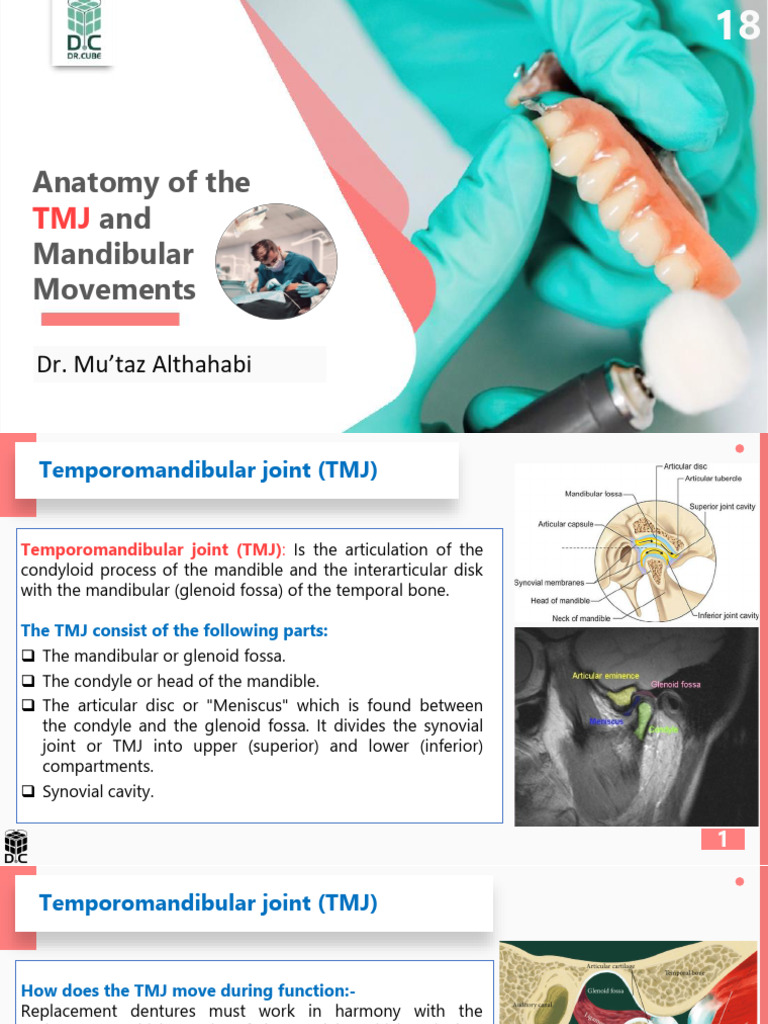 Pros4 Lec.18 Anatomy of The TMJ | PDF | Human Anatomy | Human Head And Neck