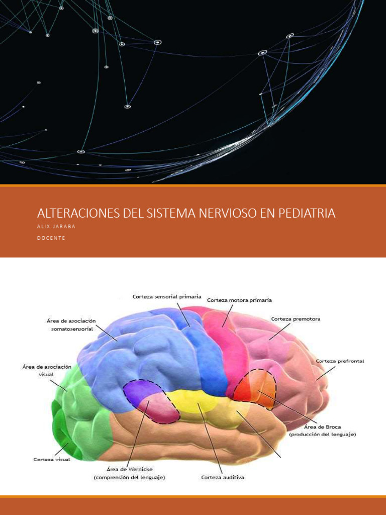 Status Convulsivo | PDF | Neurociencia | Medicina