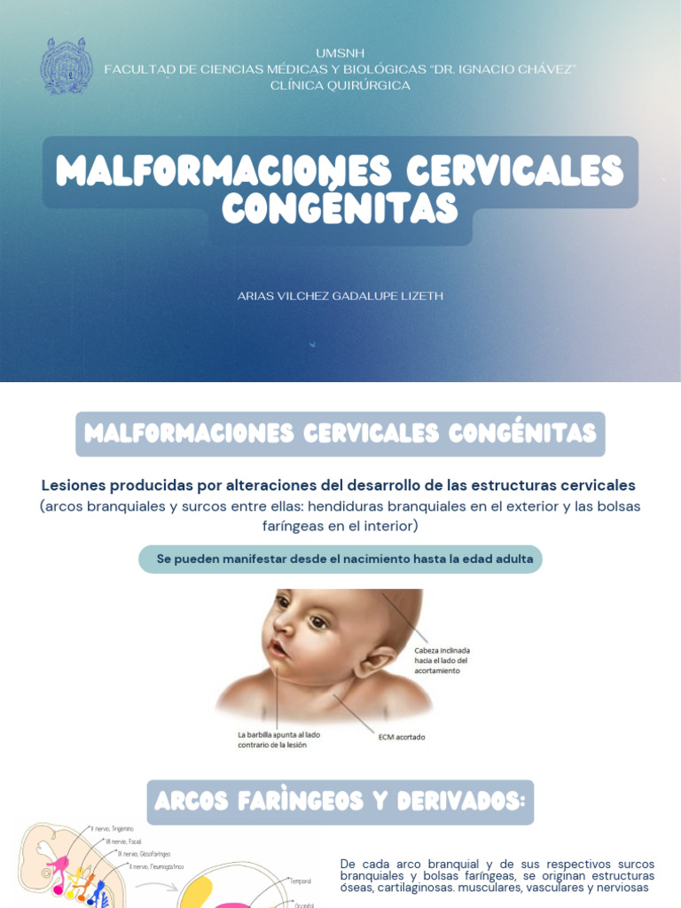 Malformaciones cervicales congénitas | PDF | Tiroides | Enfermedades y ...