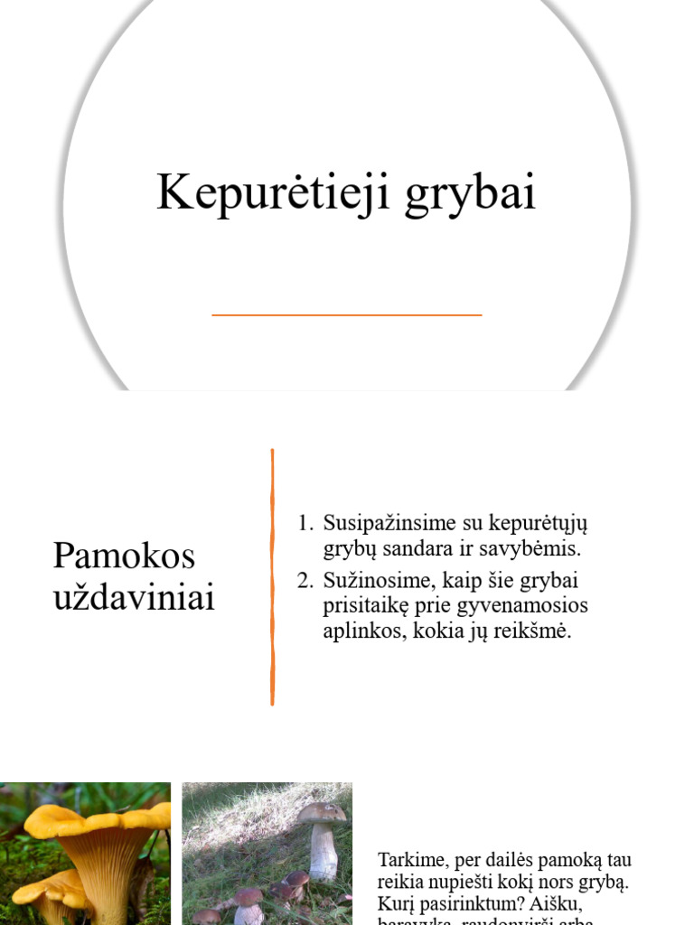 Kepuretieji Grybai | PDF