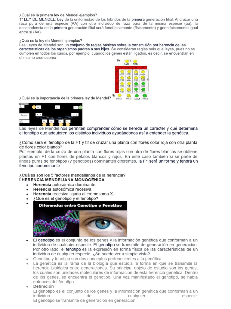 Primera Ley de Mendel: Ejemplos y Conceptos | PDF | Alelo | Cigosidad