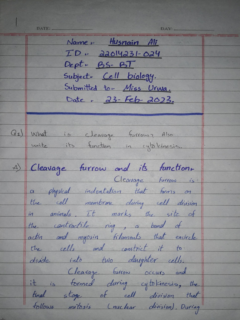 Cleavage Furrow in Cell Division | PDF | Biology | Life Sciences