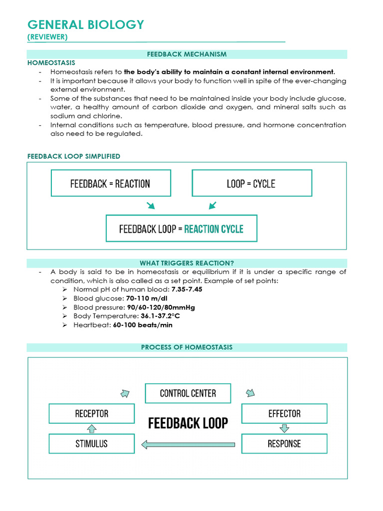 Feedback Mechanism | Download Free PDF | Homeostasis | Hormone