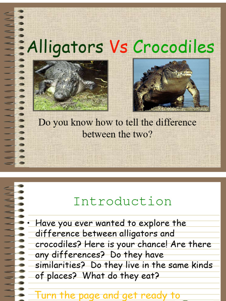 All Croc | PDF