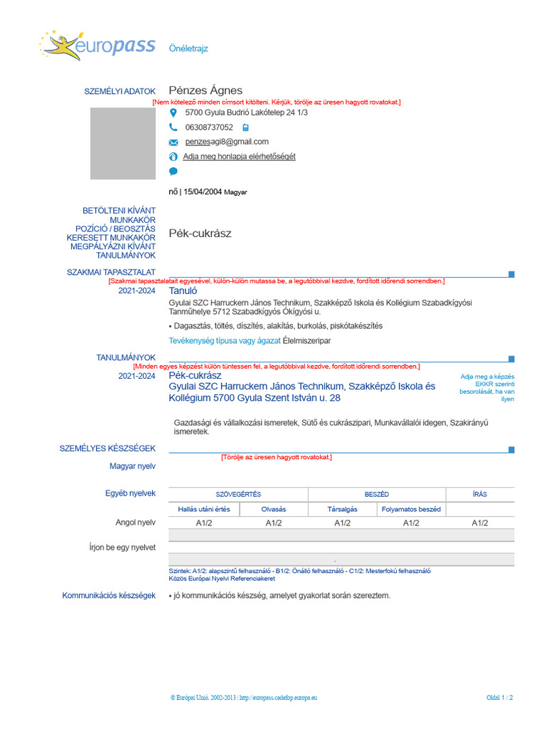 Europass-oneletrajz-Magyan (2) (2) | PDF