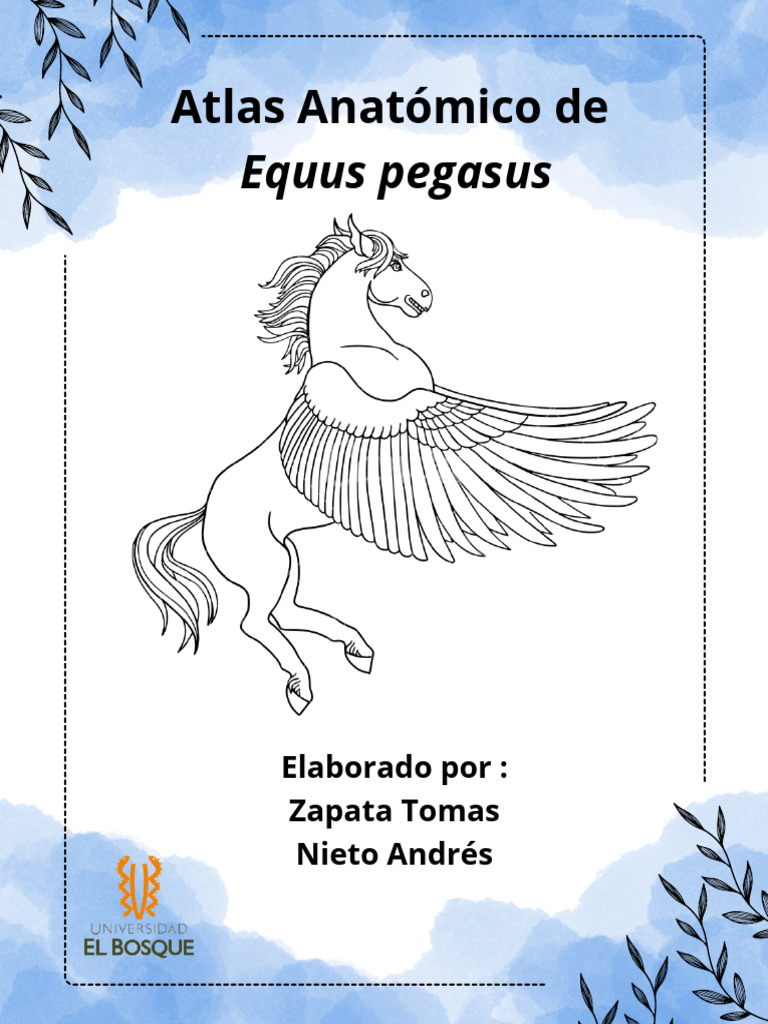 Atlas Anatómico de Equus Pegasus | Descargar gratis PDF | Esqueleto | Pluma