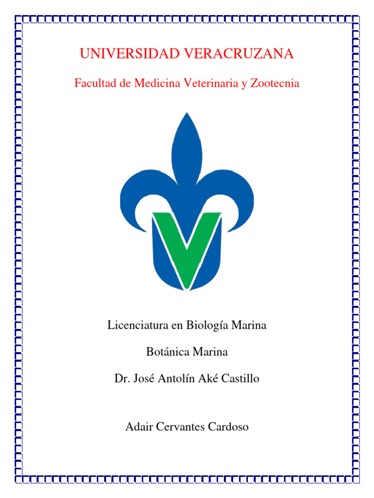 Botanica Marina Practica 2 | PDF | Plancton | Fitoplancton