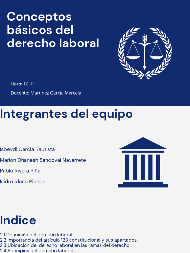 Conceptos Básicos Del Derecho Laboral | PDF | Derecho laboral | Estudios de género