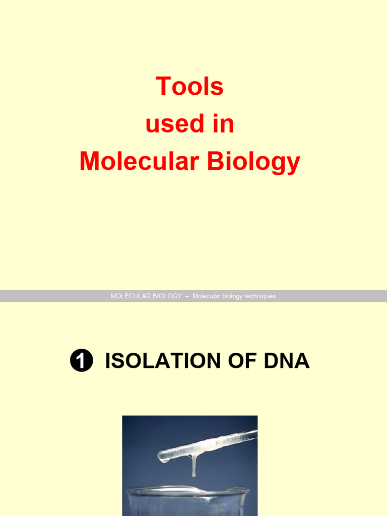 Lecture3-Tools in Molecular Biology | PDF | Polymerase Chain Reaction ...