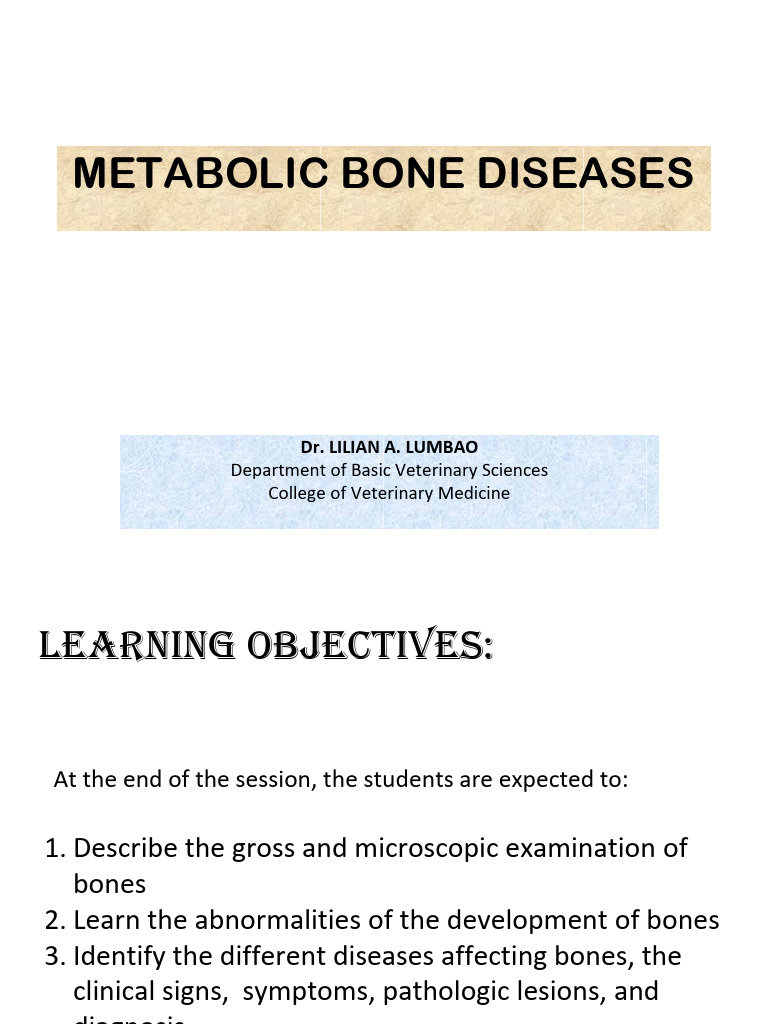 2 Bone Metabolic | PDF | Bone | Osteoporosis