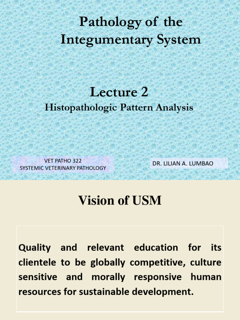 skinL2-WEB09 | PDF | Medical Specialties | Clinical Medicine