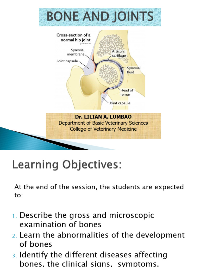 Bone Diseases in Veterinary Medicine | PDF | Bone | Medical Specialties