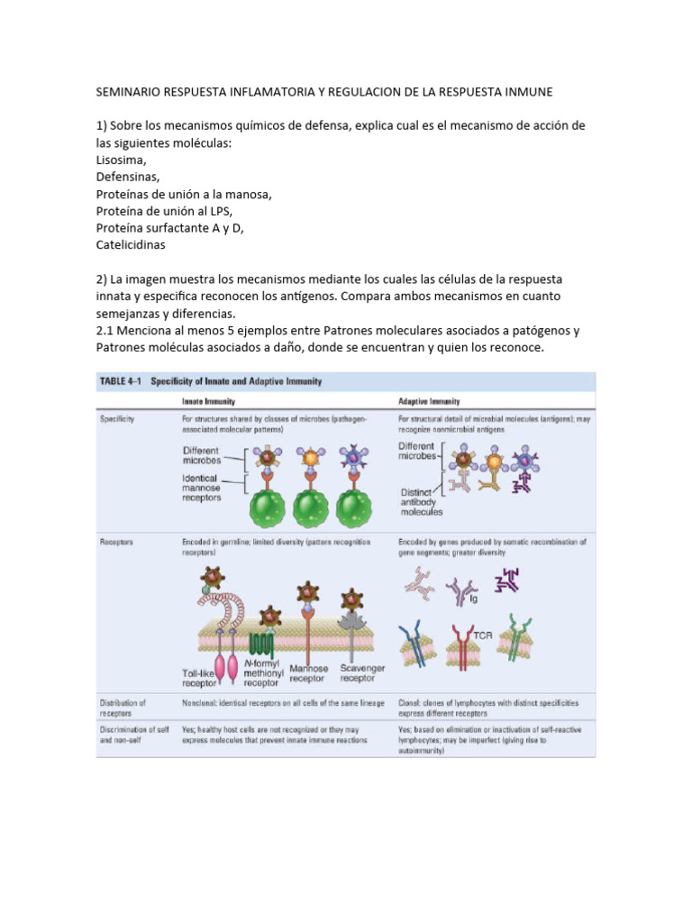 Seminario Respuesta Inflamtoria y Regulacion de La Respuesta Inmune | PDF | Sistema inmune ...