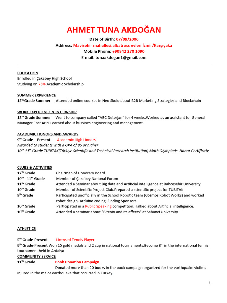 SAMPLE CV | PDF