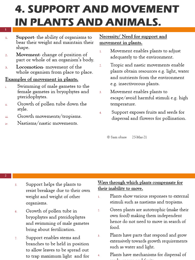 Support and Movement in Biology | PDF | Vertebra | Vertebral Column