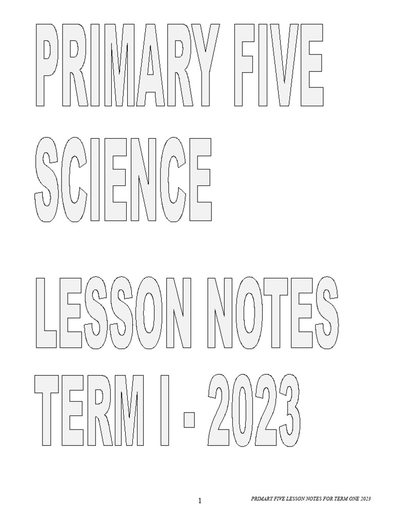 Poultry Keeping Notes for Primary Five | PDF | Honey Bee | Chicken