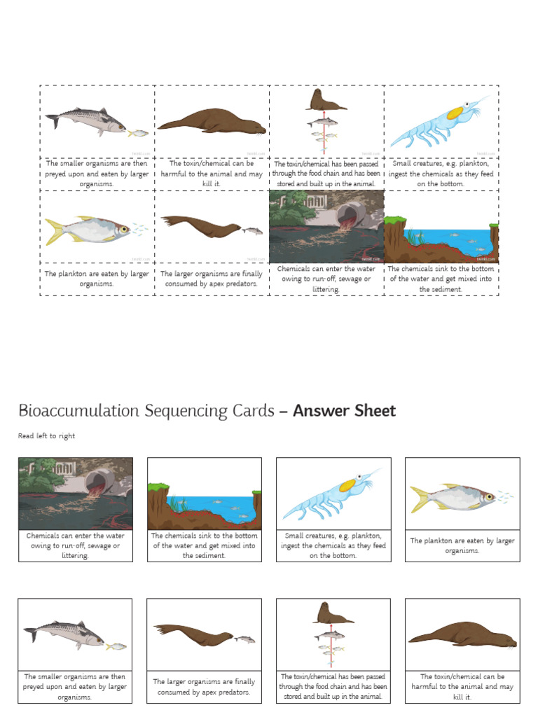 Food Chain & Bioaccumulation | PDF | Predation | Plankton