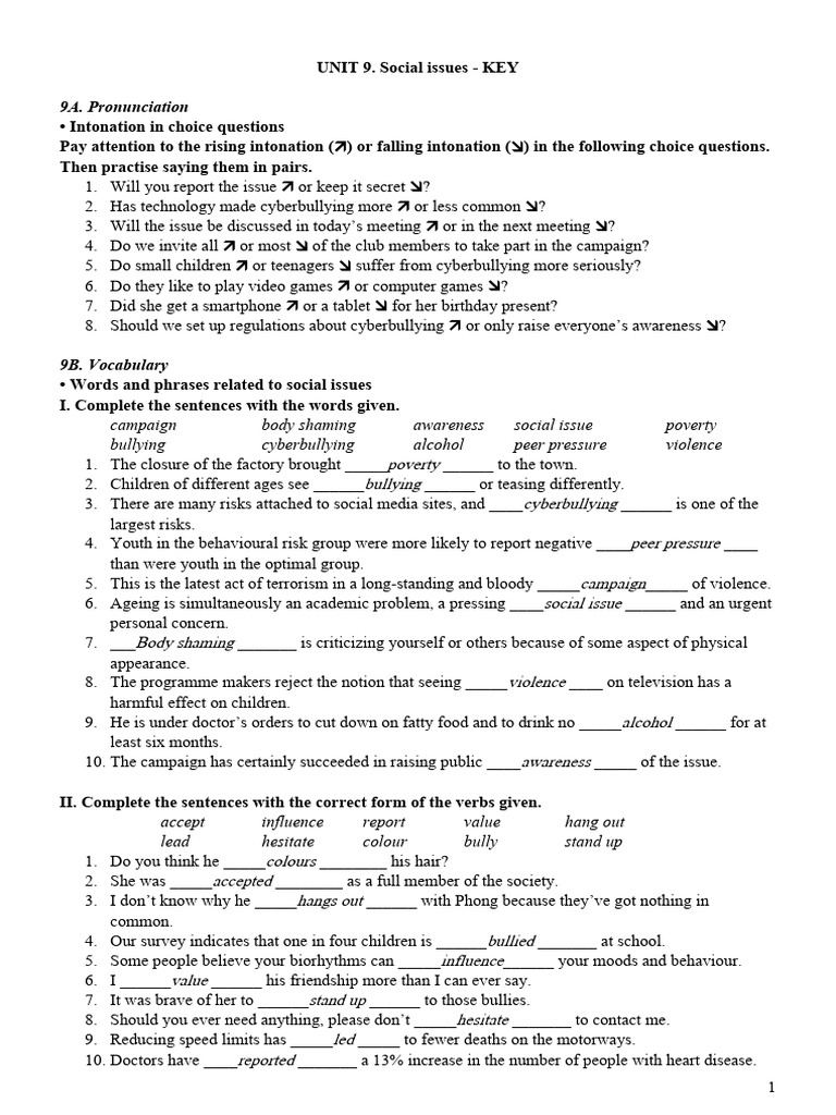 UNIT 9. Social Issues - KEY | PDF | Cyberbullying