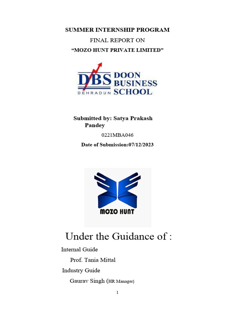 Mozo Hunt Internship Report 2023 | PDF | Marketing | Target Audience