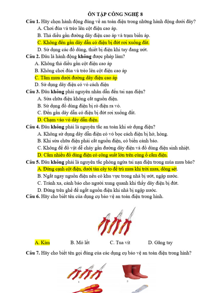 N I Dung Ôn CN8 | PDF