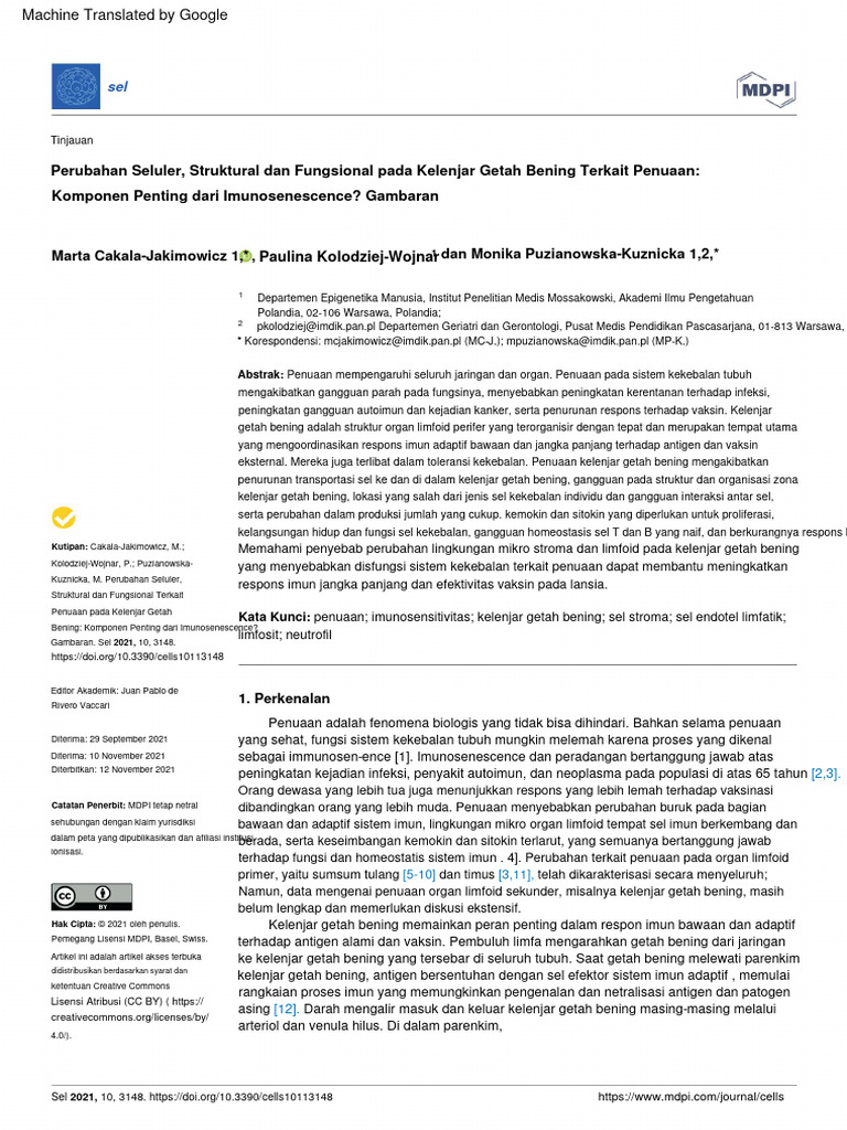 Aging-Related Cellular, Structural and Functional Changes in The Lymph Nodes A Significant ...