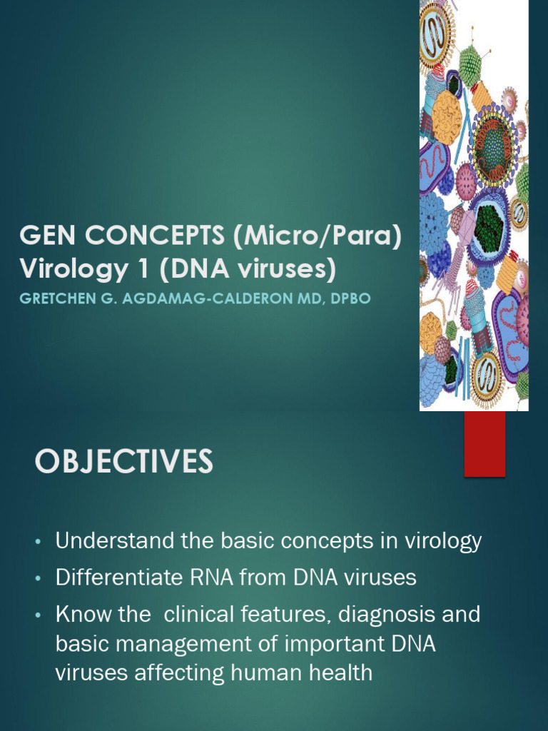 21 - Virology I (DNA) Lecture | PDF | Virus | Hepatitis B 21 - Virology I (DNA) Lecture | PDF | Virus | Hepatitis B
