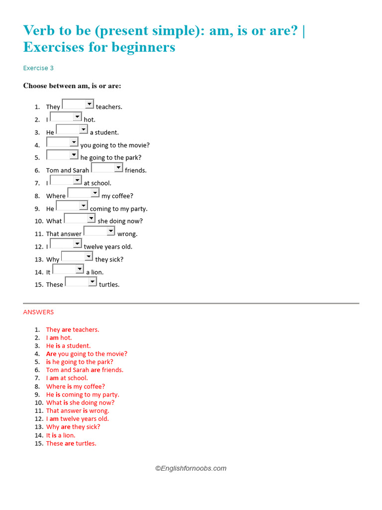 Verb to Be Exercises for Beginners | PDF