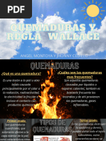 Regla de los 9 en quemaduras | PDF