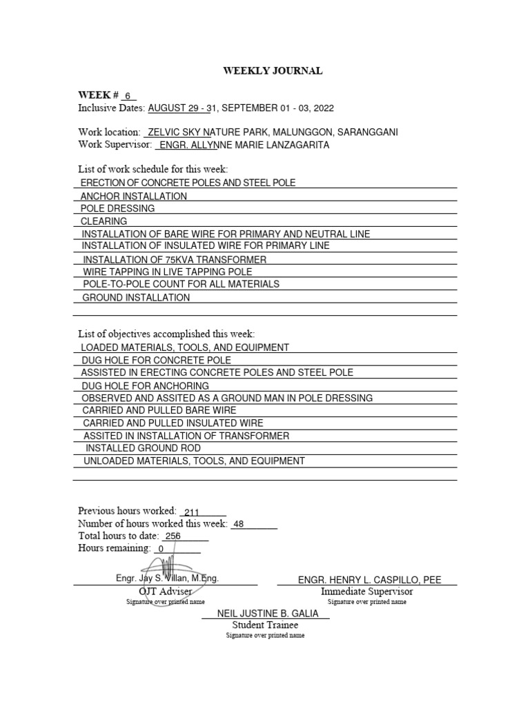 Weekly Work Journal for OJT Tasks | PDF
