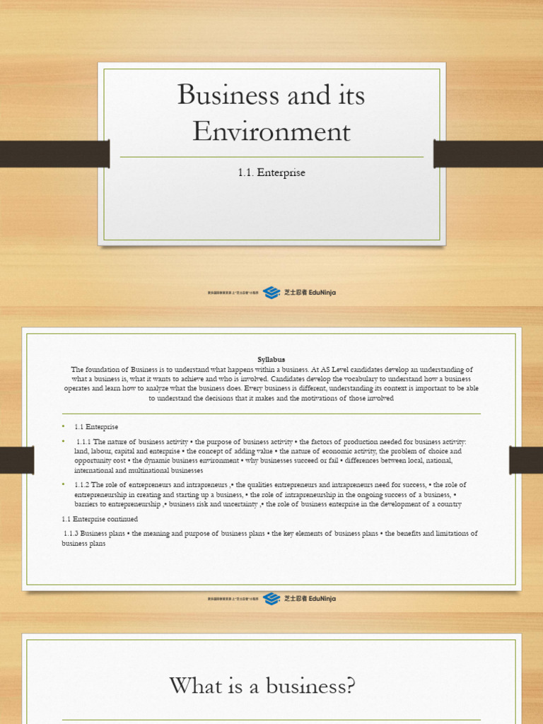 EDEXCEL Business Note 1.1 Enterprise | PDF | Entrepreneurship | Economics