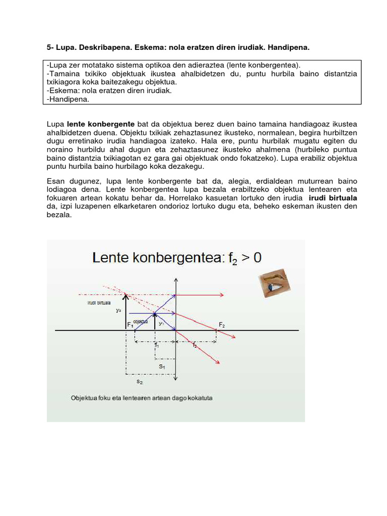 5 Lupa | PDF
