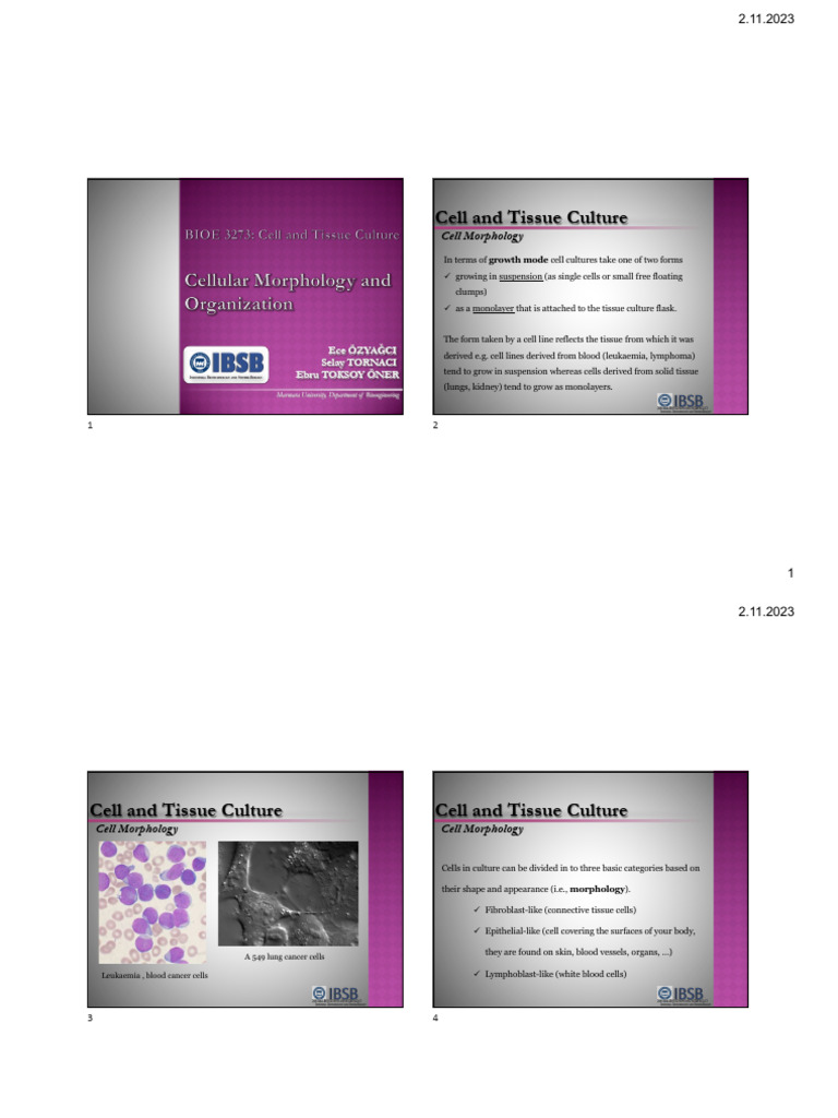 Lecture 5 CTC Cellular Morphology and Organization | PDF | Cell Culture ...