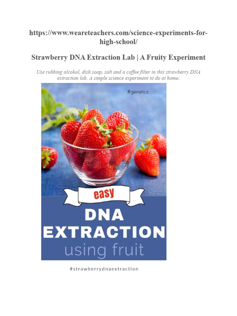 Strawberry DNA Extraction Lab | PDF | Cell (Biology) | Dna
