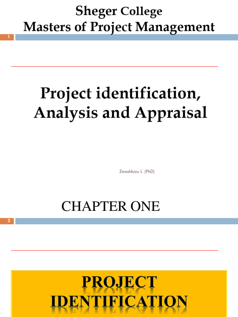 Chapter 1 Project Identification Mine | PDF | Swot Analysis | Economies