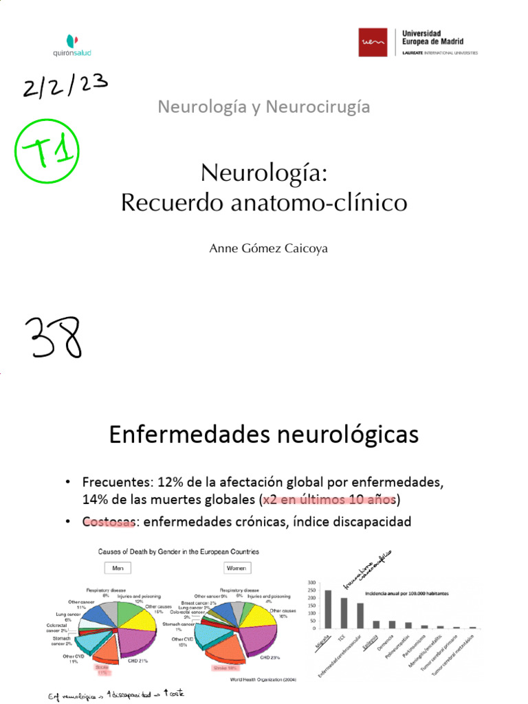 Recuerdo AP-2022 | PDF | Anatomía humana | Sistema nervioso