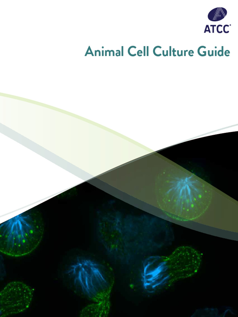 Comprehensive Animal Cell Culture Guide | PDF | Cell Culture | Growth ...