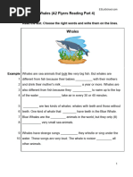 Flyers Practice Test Final | PDF