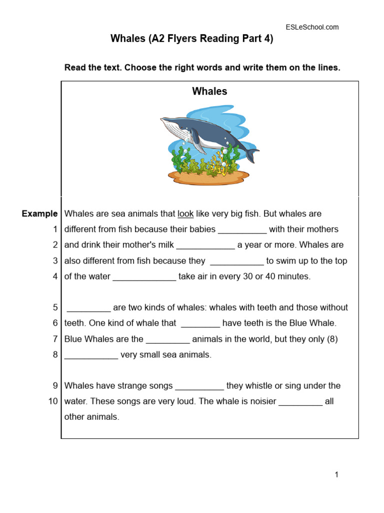 A2 Flyers: Whales Reading Exercise | PDF | Foreign Language Studies