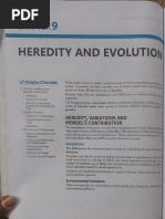 Class 10 Heredity | PDF | Dominance (Genetics) | Genetics