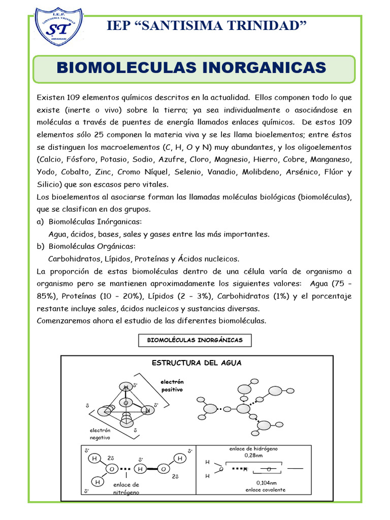 TEMA 01 BIOMOLECULAS INORGANICAS II | PDF | Biomoléculas | Agua